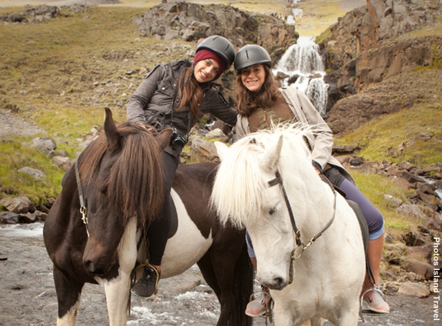 Island_Islandpferde - Nordträume Reisen